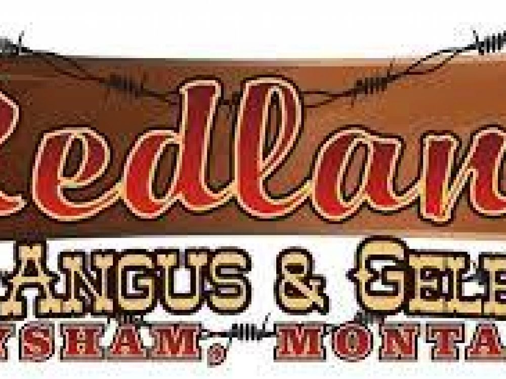 Redland Red Angus, Hysham, MT - 3/7/2020 - Frontier Live Sale